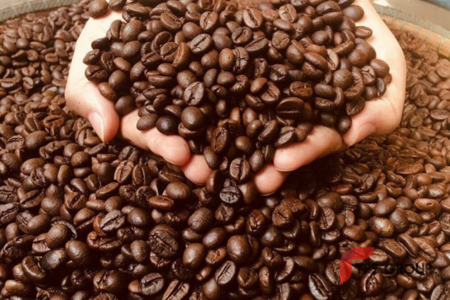 Cà phê Cherry (Cà phê mít) là gì? Có đặc điểm gì?